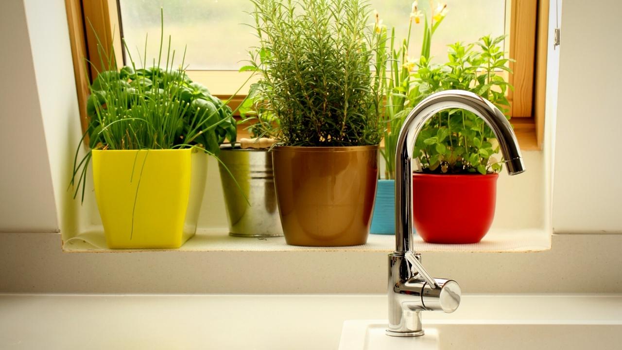 12 Fantastic Nature-Inspired Kitchen Ideas - Natural Living Blog ...