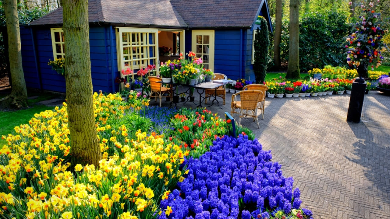 8 Flower Bulb Planting Design Ideas - Natural Living Blog | Natural Home