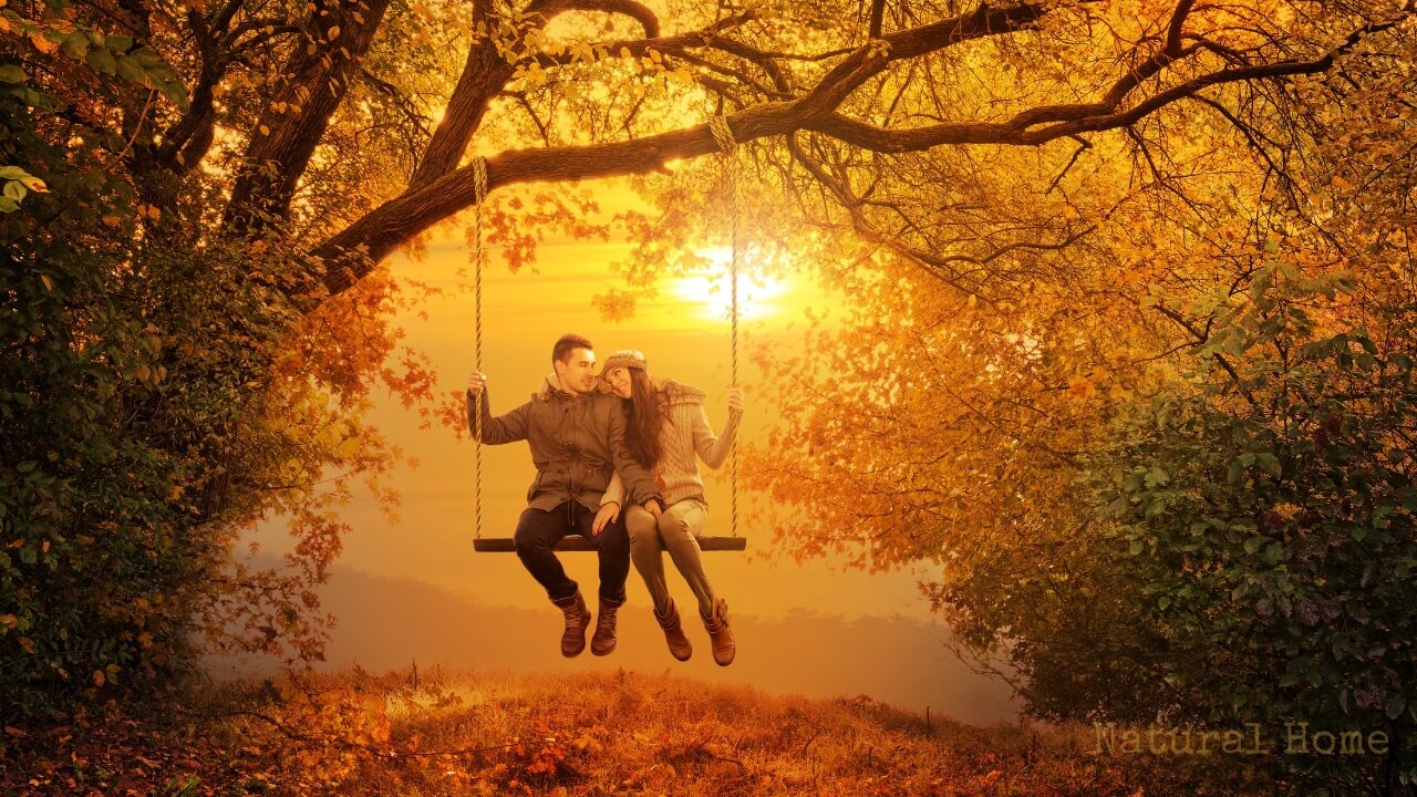 What makes Autumn such a Special time of Year? - Natural Living Blog ...