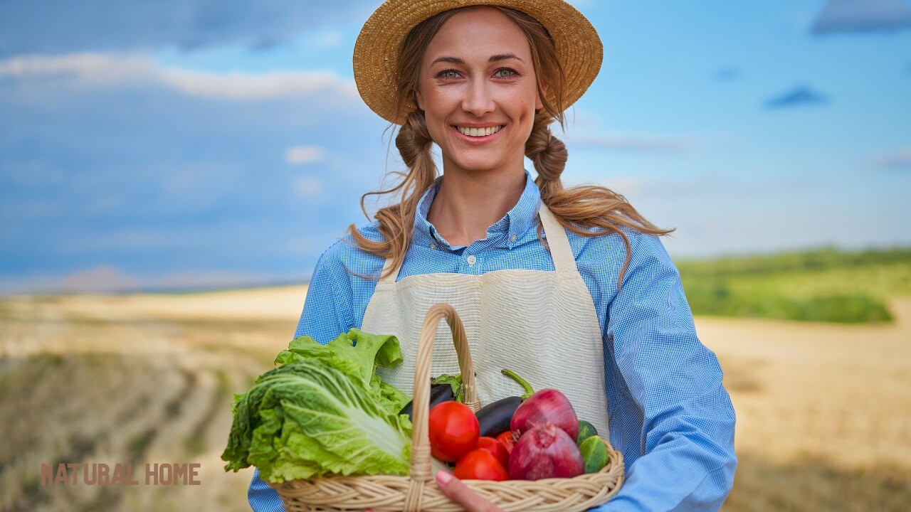 10 tips for eating Organic Food on a Budget - Natural Living Blog ...